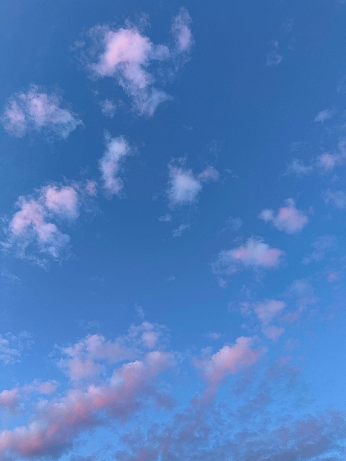 Writing the Clouds in Your Mind. You open your journal. The blank page ...