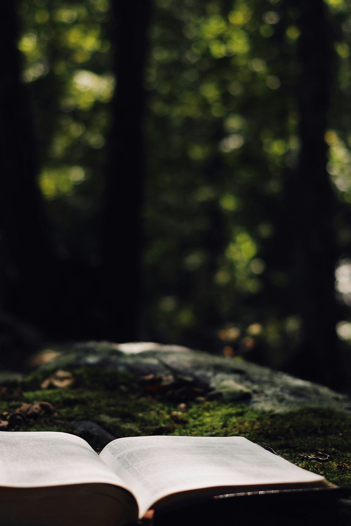 resting in God.. Photo by Jessica Mangano on Unsplash | by Abigail ...