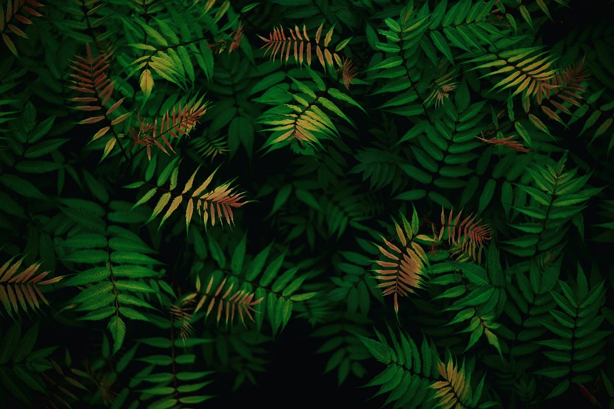 TITLE: JUGGLING TEACHING, FASHION, AND FARMING: LIFE AS A YOUNG NIGERIAN WOMAN | by Hamzat ...