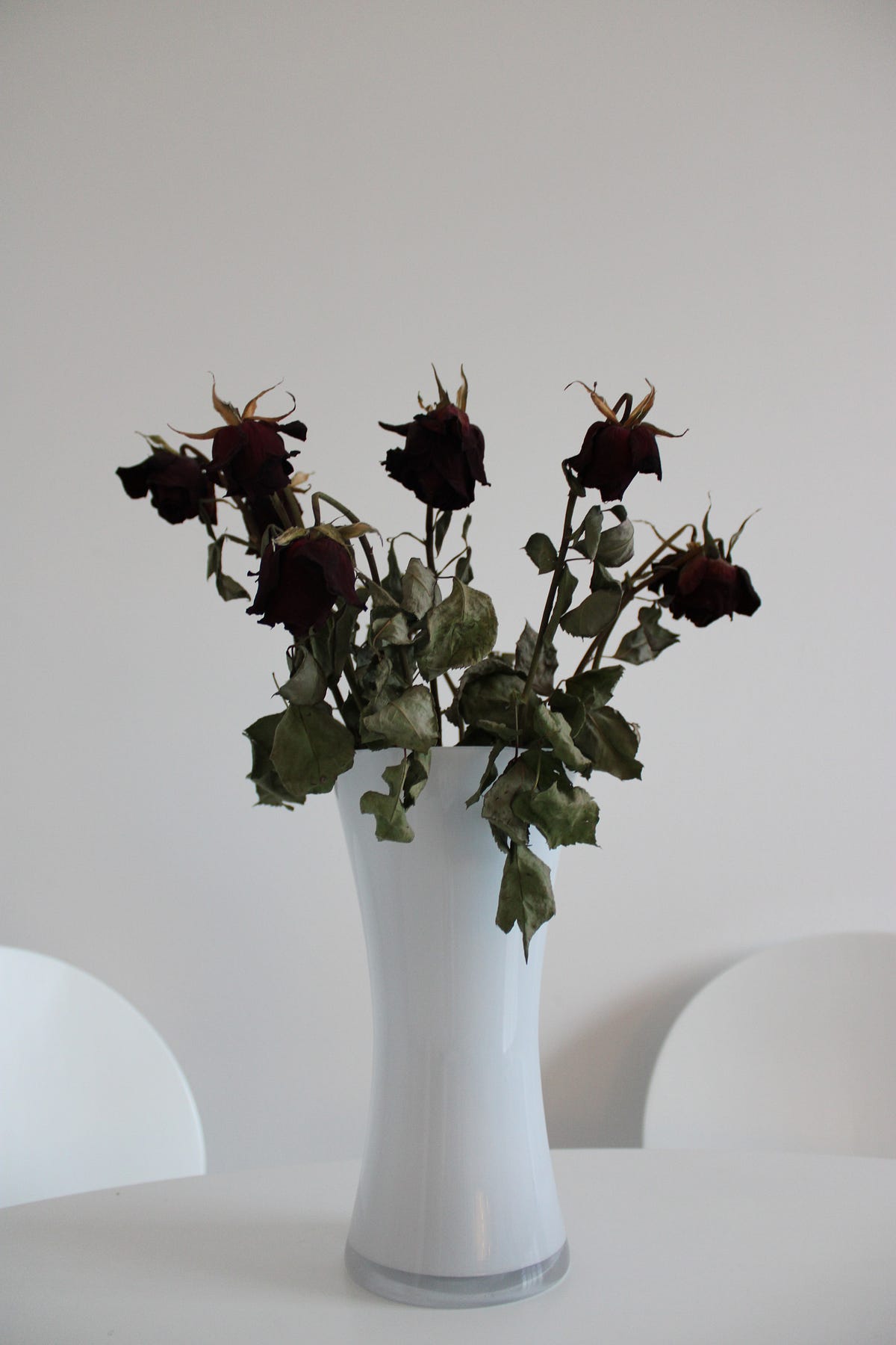 Queen Bee. A poem about a vase | by Ivana Klara | ILLUMINATION | Medium