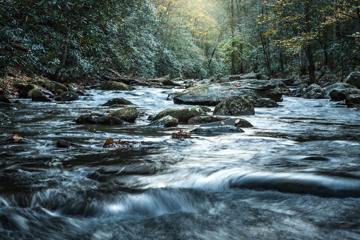 A Daily Thought: My Unitive Experiences | by Michael Snyder | Jan, 2024 ...