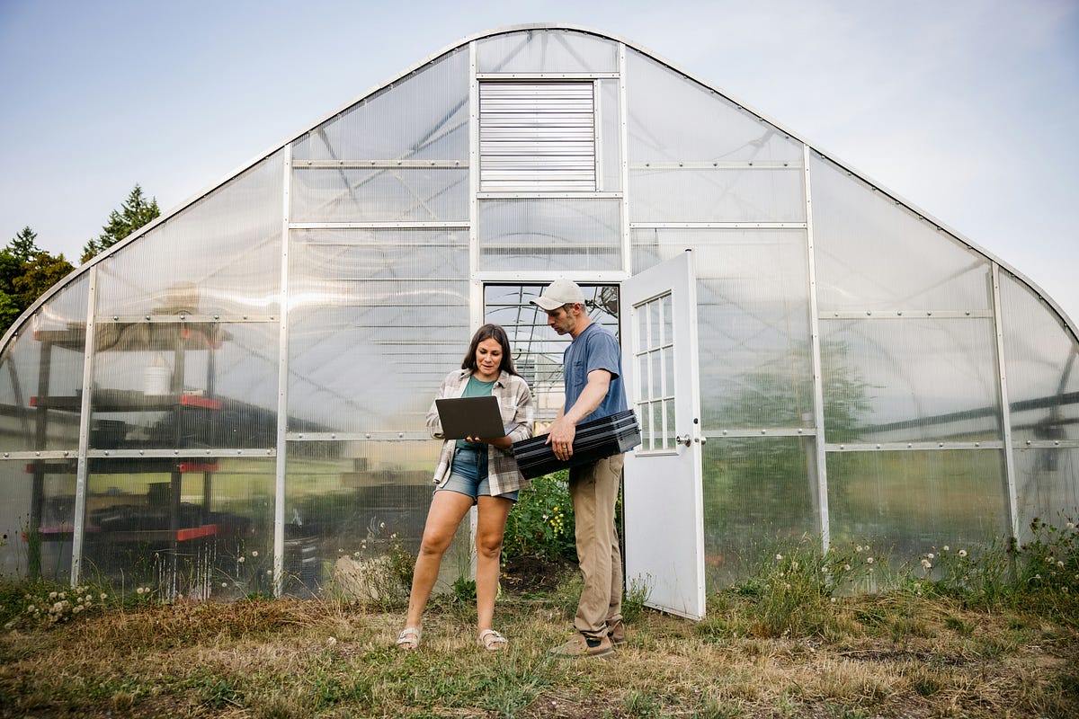 7 AI-Powered Side Hustles You Can Start Today (No Coding Needed) | by ...