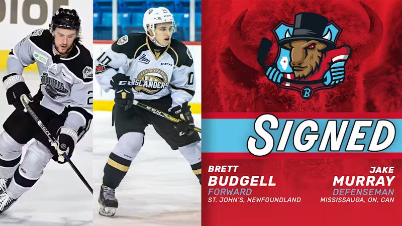 BISON SIGN BRETT BUDGELL AND JAKE MURRAY | by Howlings | Sep, 2024 | Medium