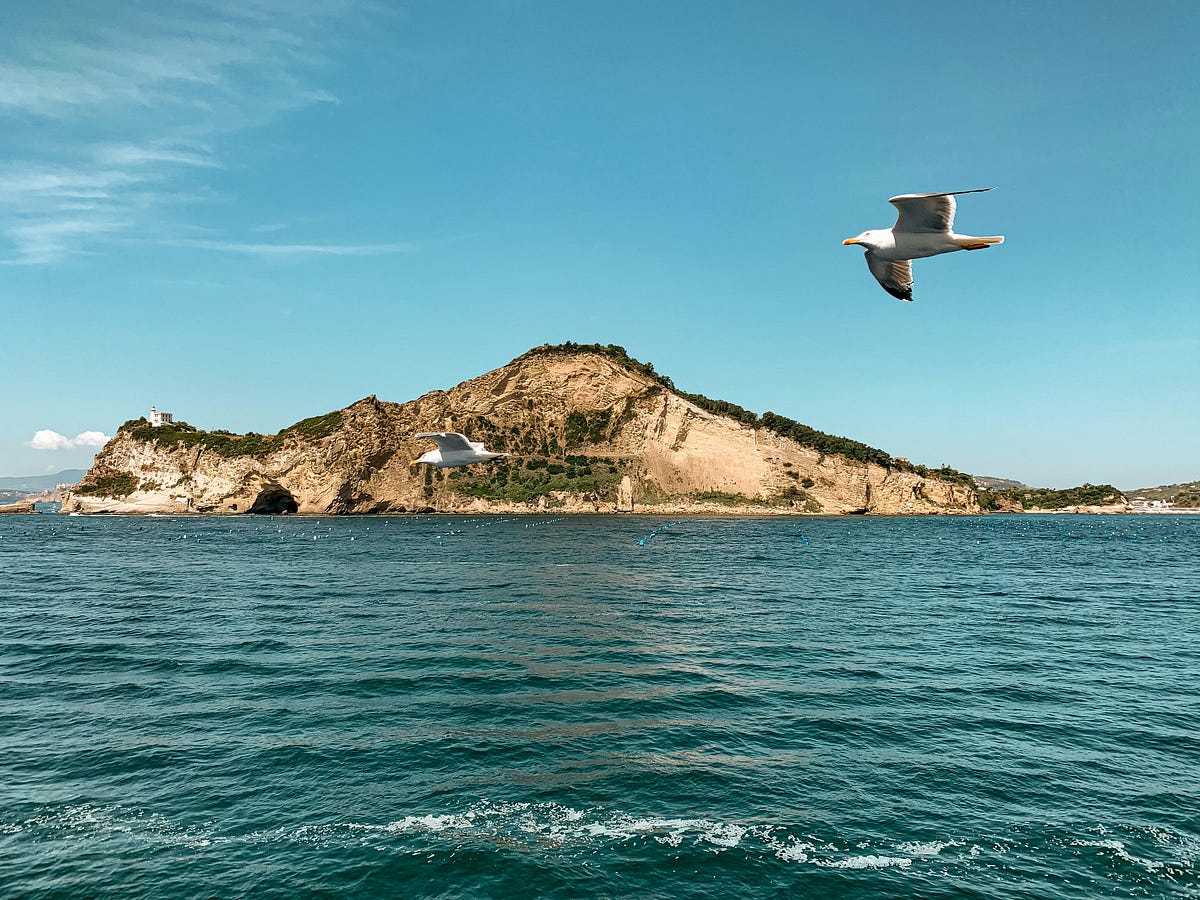 The Ripple Effect: How a Bird’s Flutter Can Stir a Storm | by Muhammad ...