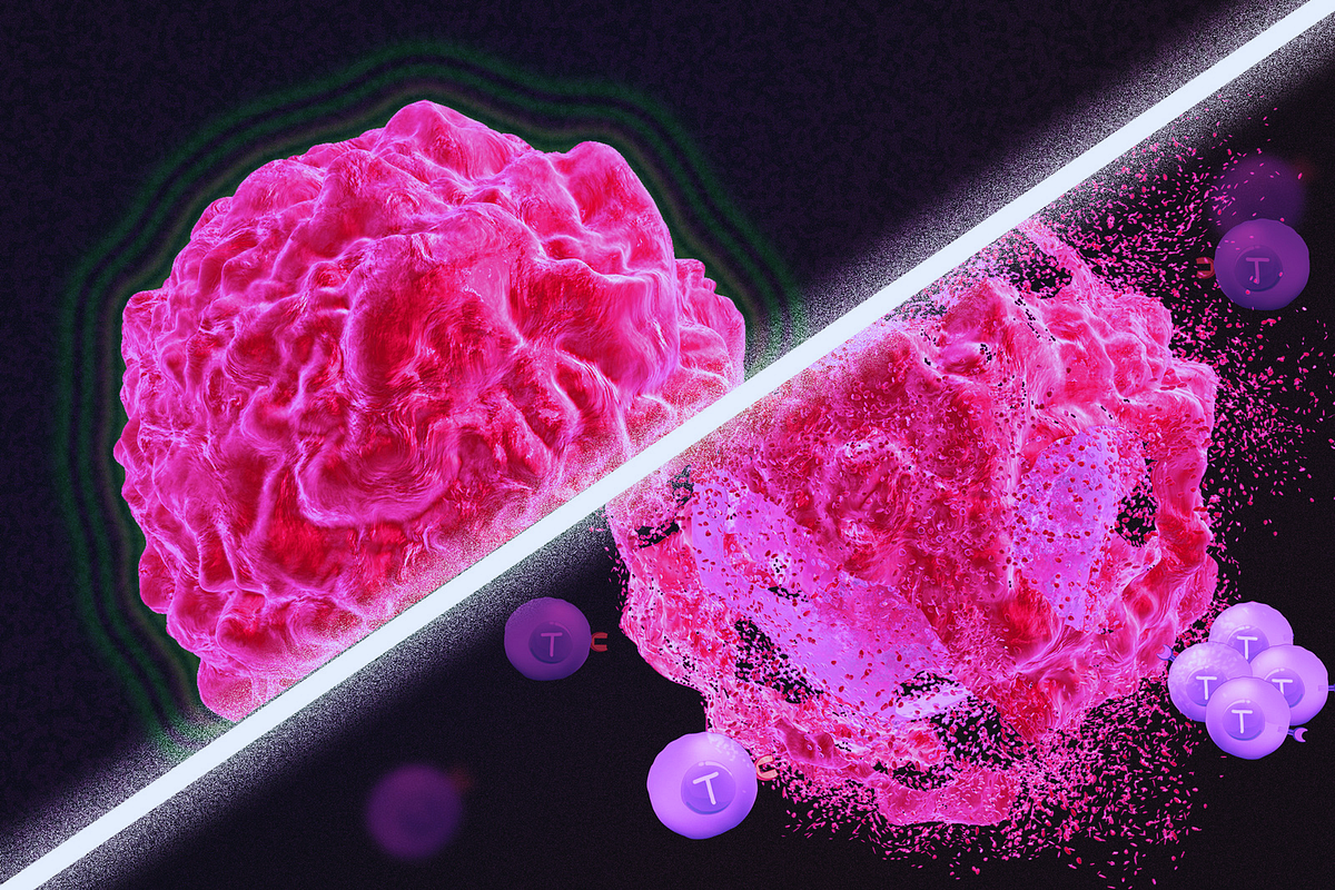 The Latest Developments in Cancer Treatment | by Havaitabalvi | Medium