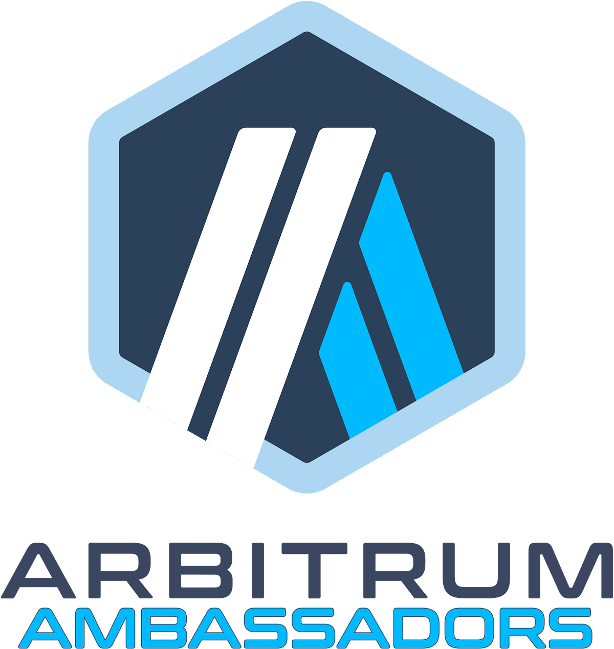 Step-by-Step process of configuring and deploying your own Arbitrum Orbit chain. | by Esther ...