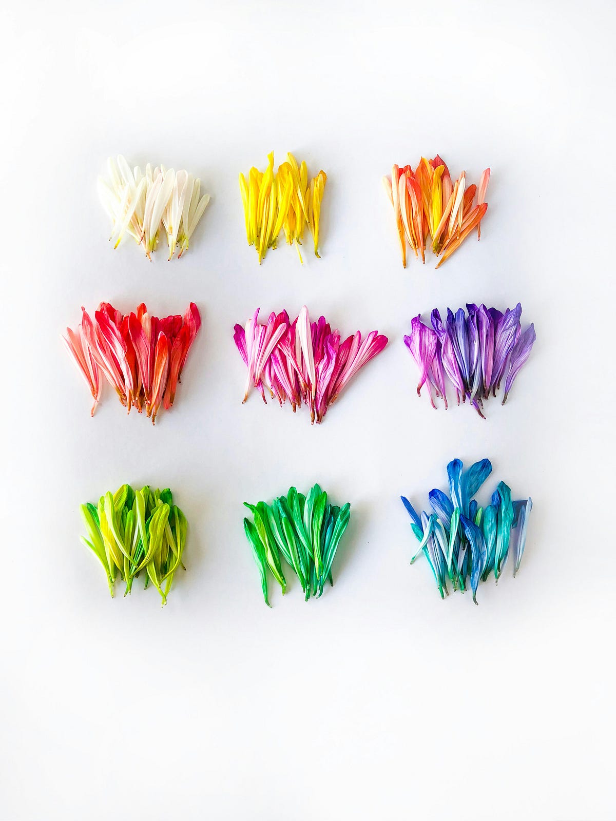 Organization as a Coping Mechanism: | by Aroojhussain | Activated ...