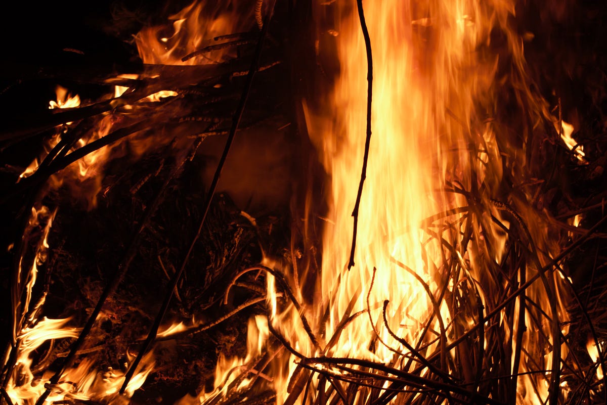 Is Your Beautiful Garden Fire-Safe? | by Claire Splan | ILLUMINATION ...