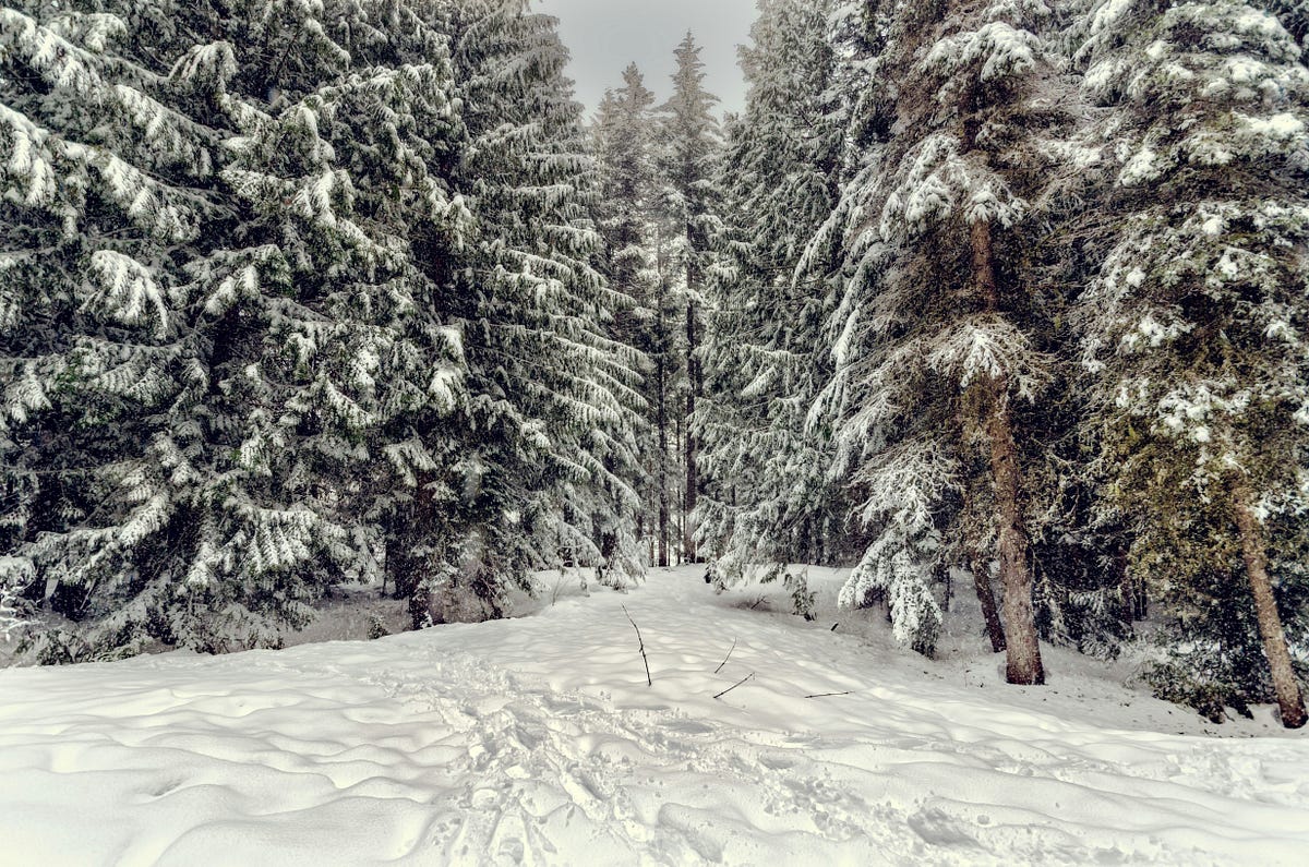 Cold Air. Tracing the Frosted Shadows | by Dr. Shamaima Irfan | Good ...
