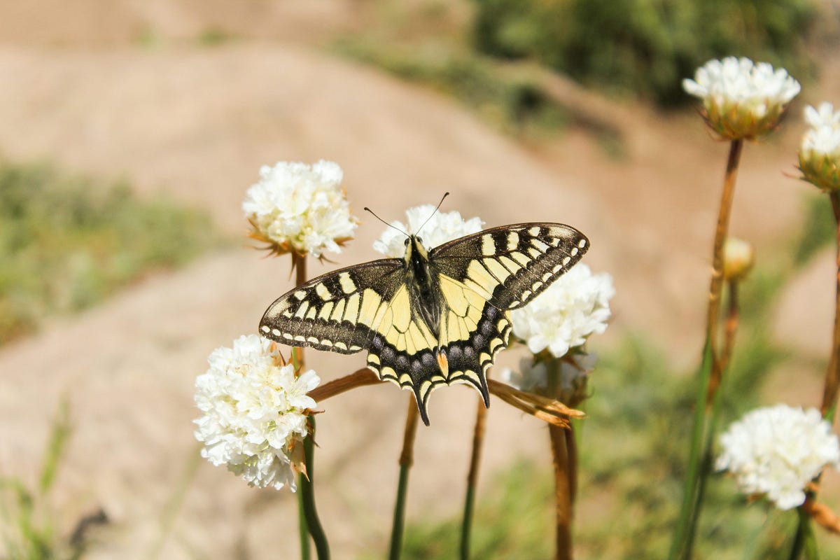 No moment is inconsequential…. How small moments can spark big change. | by Calum Upton ...