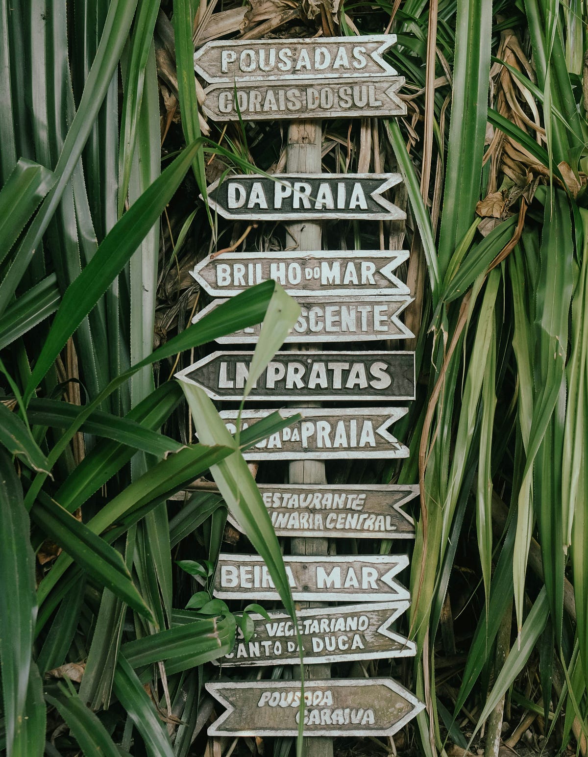 A Journey to Nowhere: Finding Meaning on the Road We Make Ourselves ...