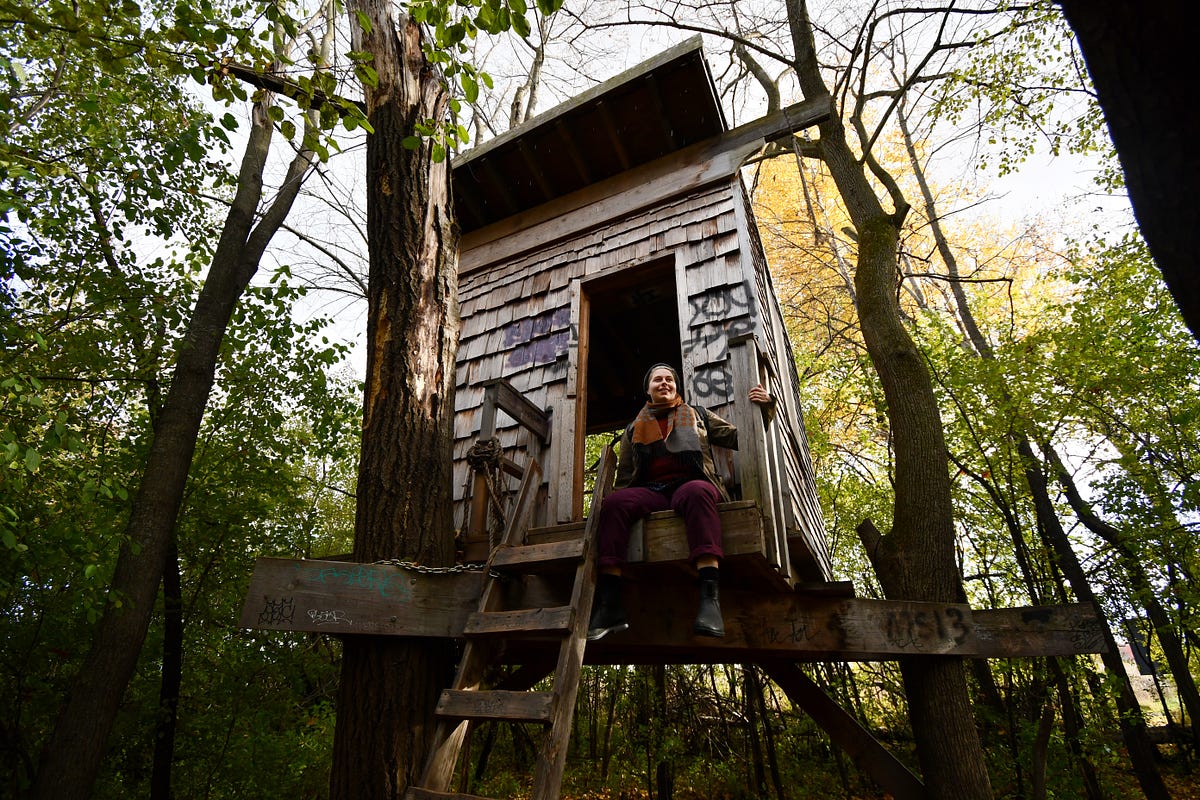 Writing is like having your own tree fort | by R C Hammond 😎 TWM | Medium