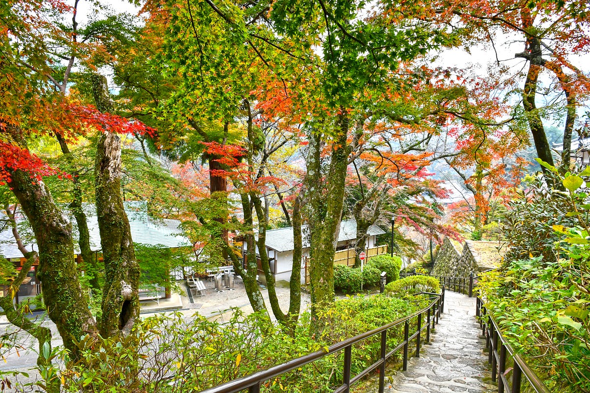 Where History Comes Alive: A Tour of the World’s Most Captivating ...