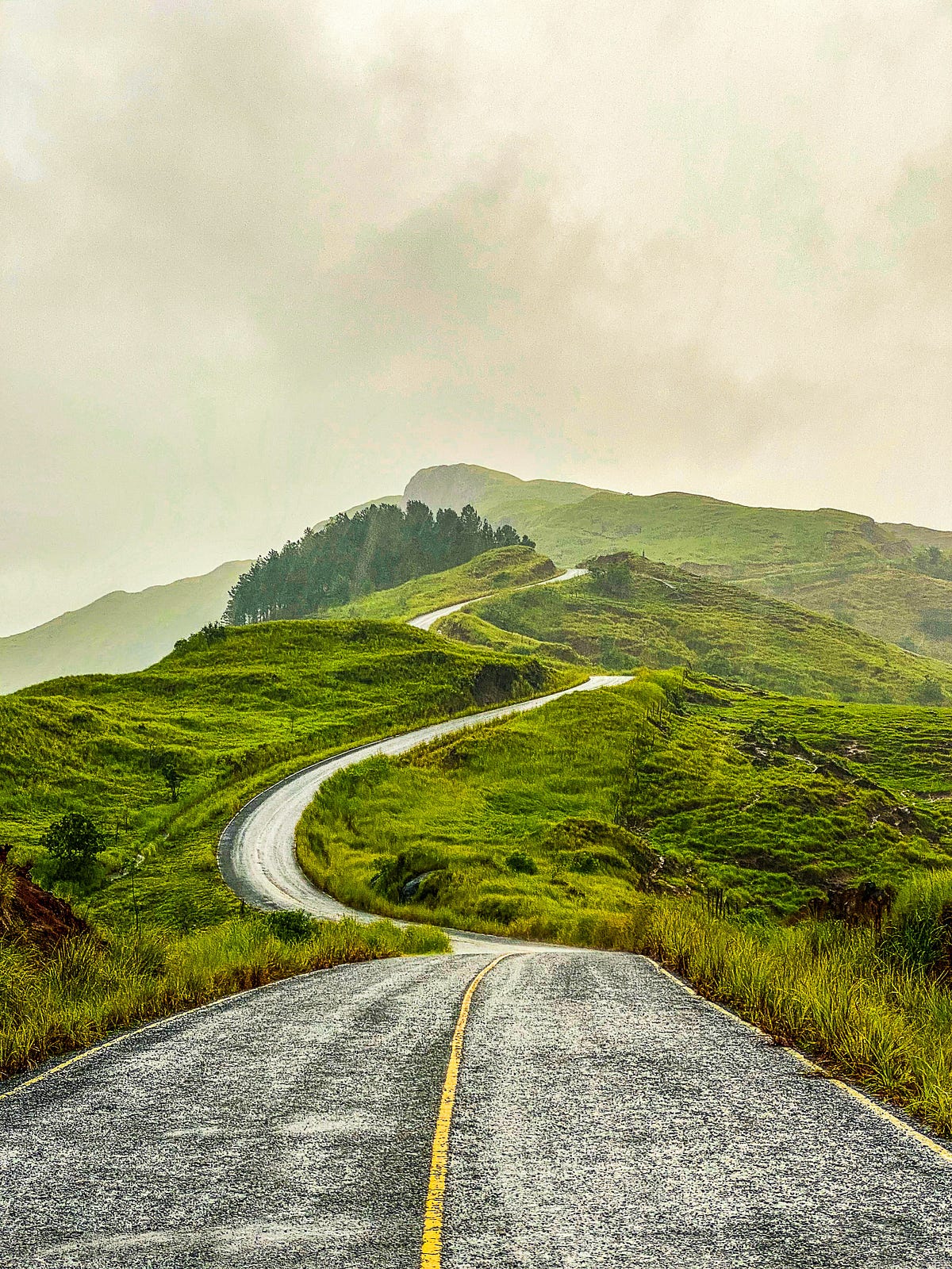 Hill Cart Road - The Lark - Medium