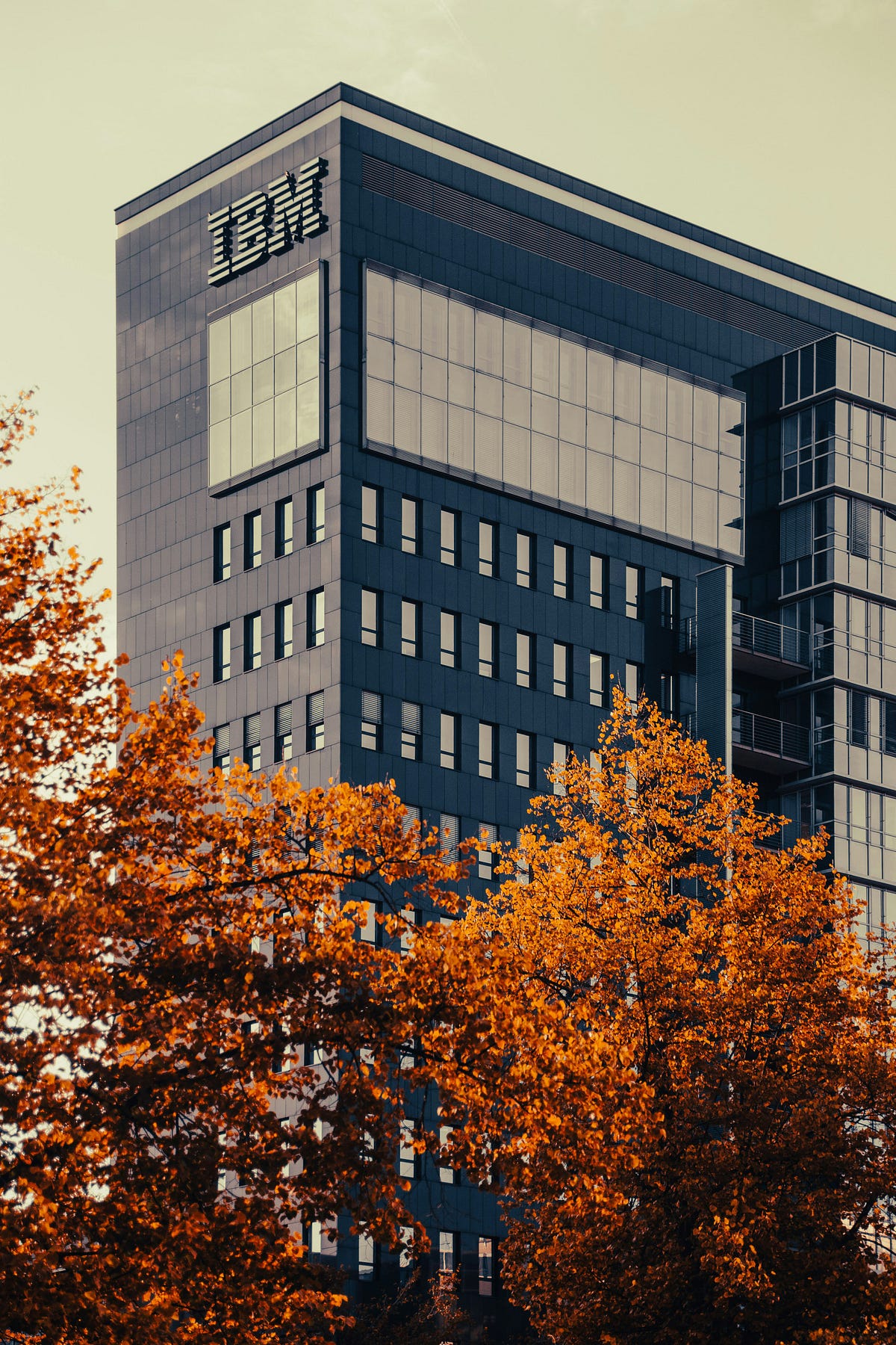 IBM :Insights and Future Developments | by Samreen Jan | Technology ...