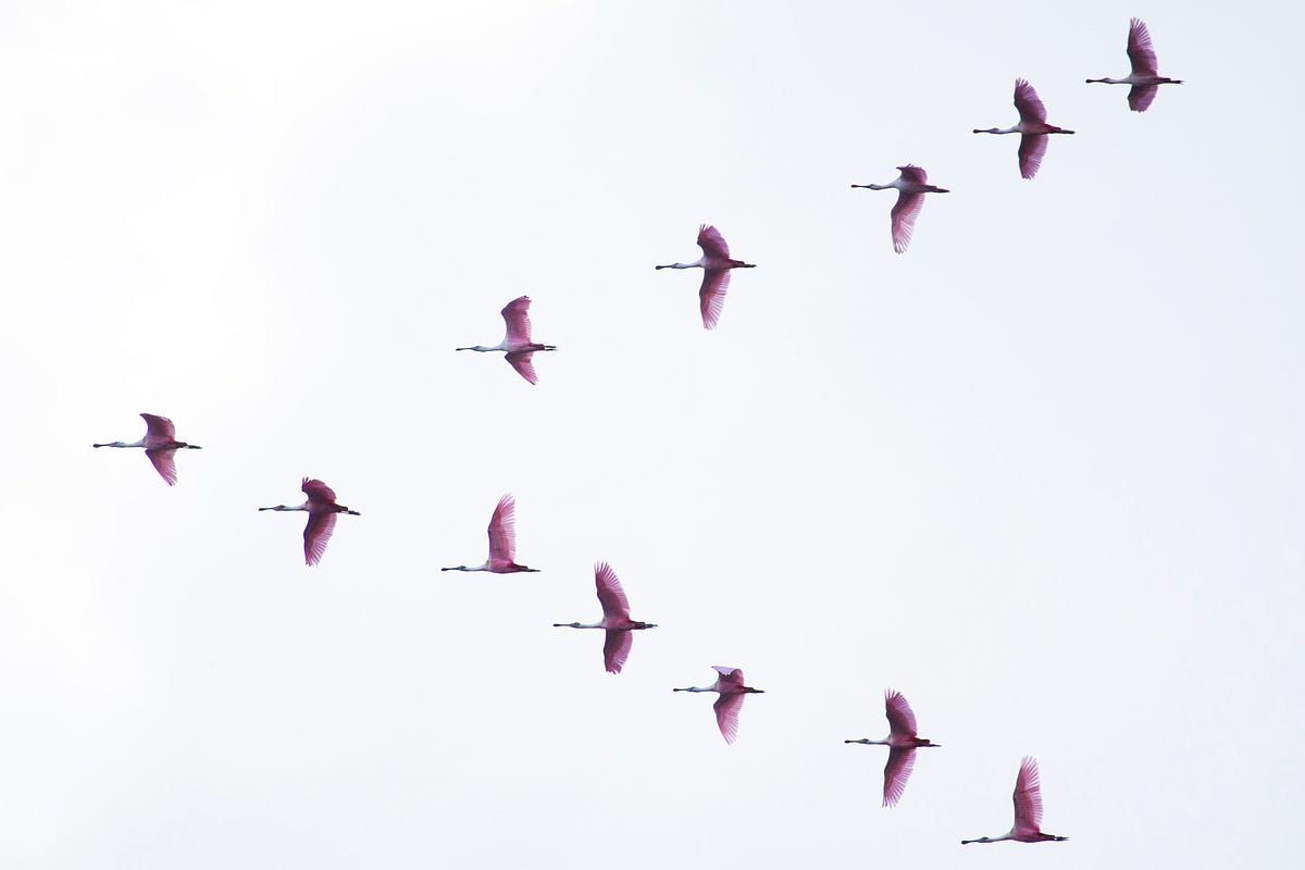 Ways To Run Entity Framework Migrations In Aspnet Core 6 By Bohdan Tron Geek Culture Medium 6768