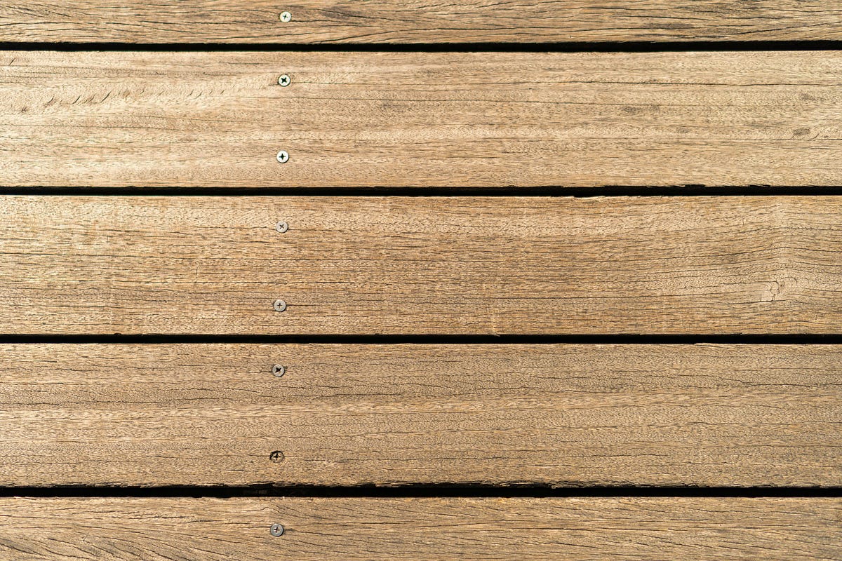 My Unwelcome Summer Obsession. What a nightmare | by Lynn L. Alexander ...