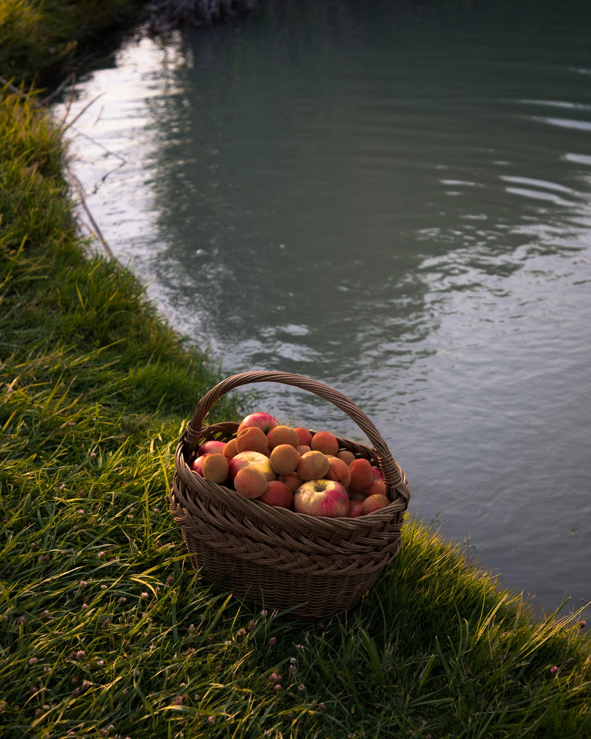 Mindful Eating, Happy Eating. Finding peace in eating. | by Dylan Navarro | New Writers Welcome ...