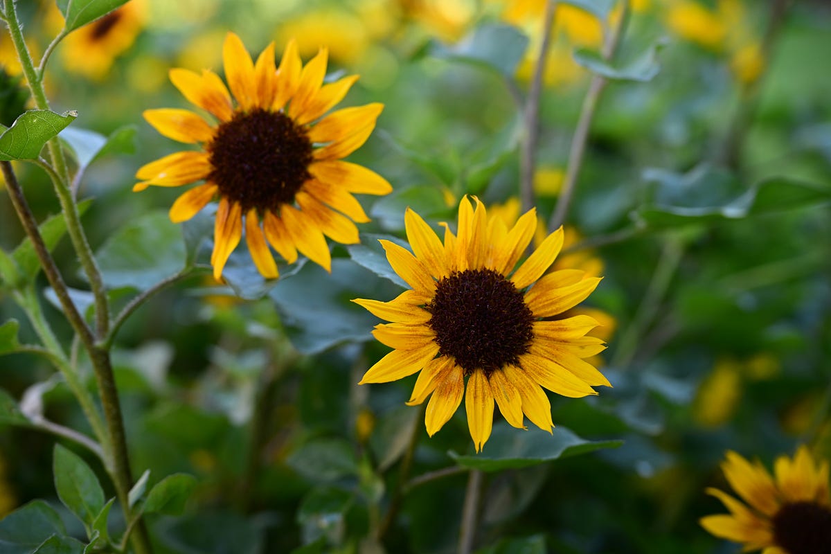 Life Is a Long Journey. A reminder to protect your peace, your… | by KM ...