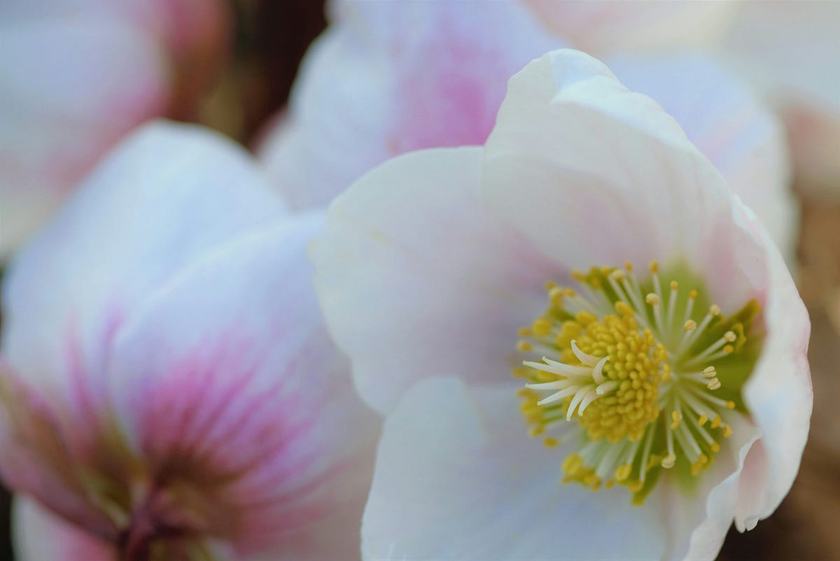 Give Honest, Sincere Appreciation: Unlocking a Key to Success | by ...
