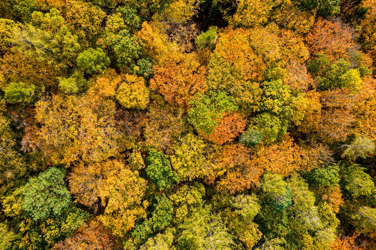 A Cup of Fiction, 19 November 2024 | by T. Mark Mangum | Total Fiction ...