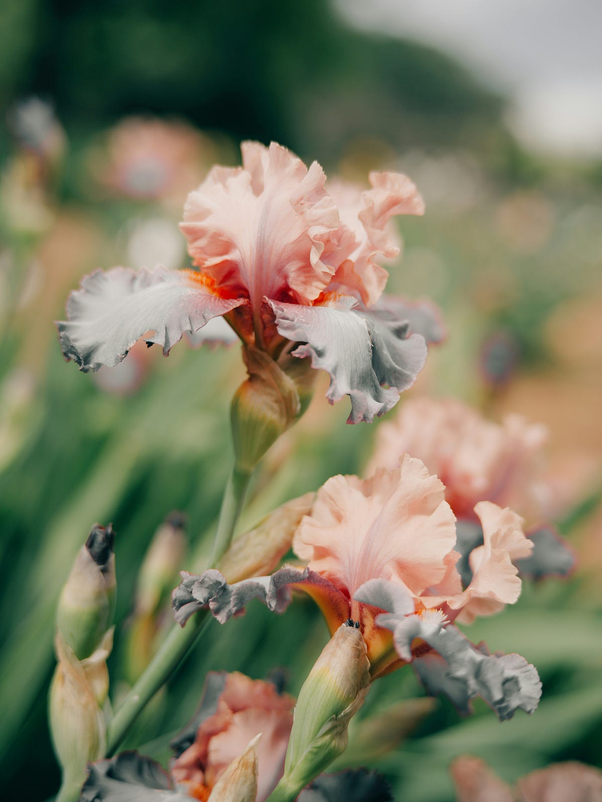 Broke Writers Find It Difficult to Make Money: Solutions and How to ...