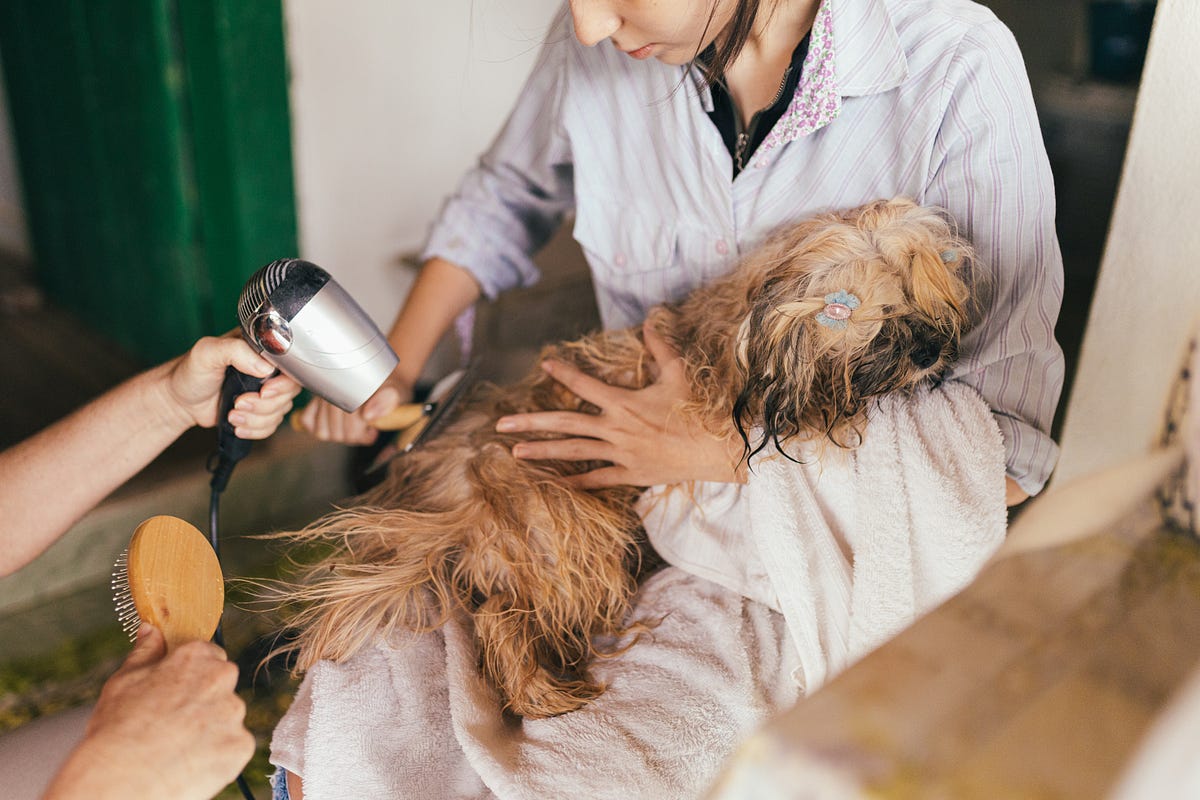 THE 10 DIFFERENT TYPES OF GROOMING | by RAVICHANDRAN PAZHANI | Medium