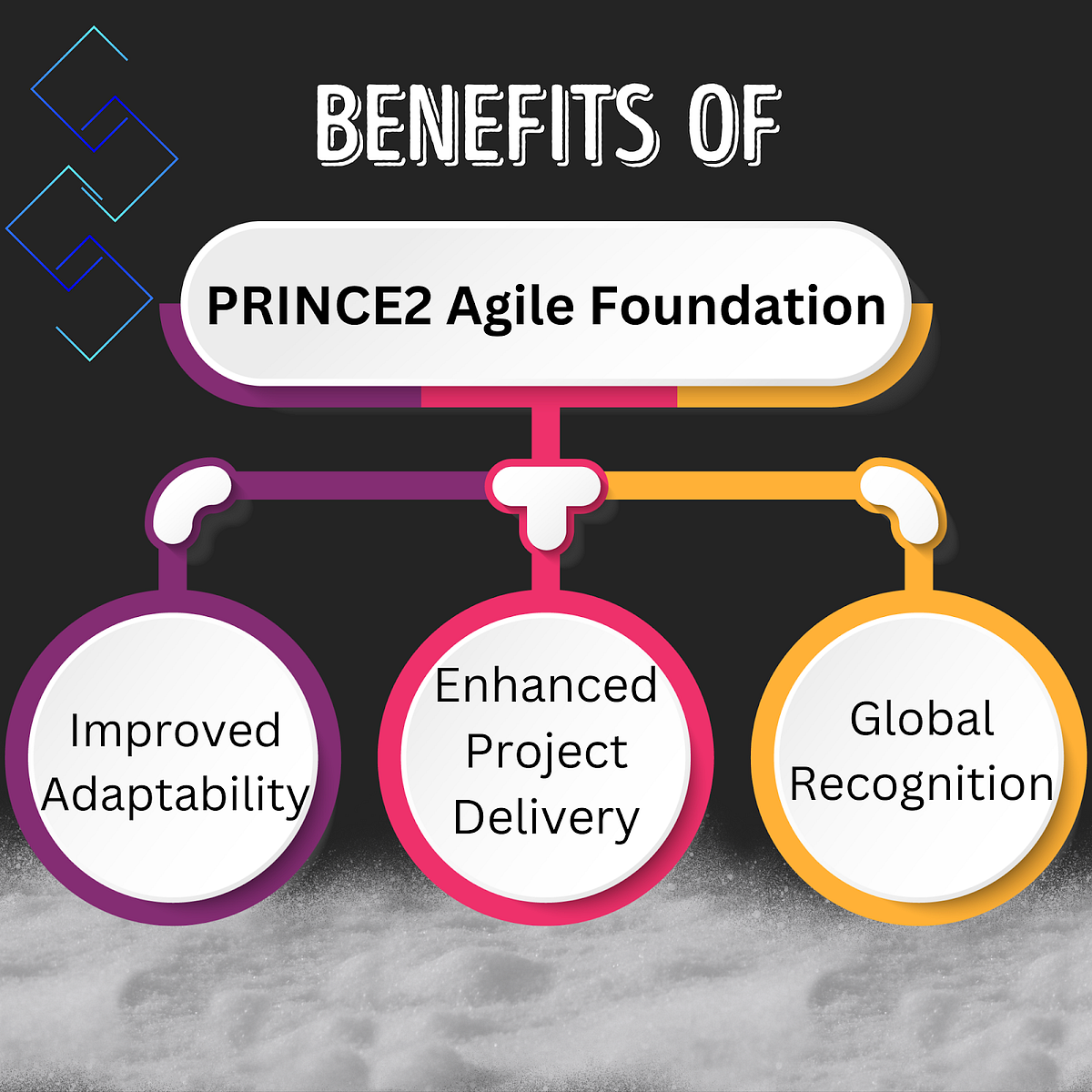 Unleashing Project Excellence with PRINCE2 Agile Foundation | by ritik | Feb, 2024 | Medium