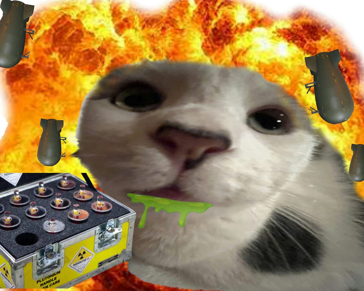 Your life is a meme - Ariya - Medium