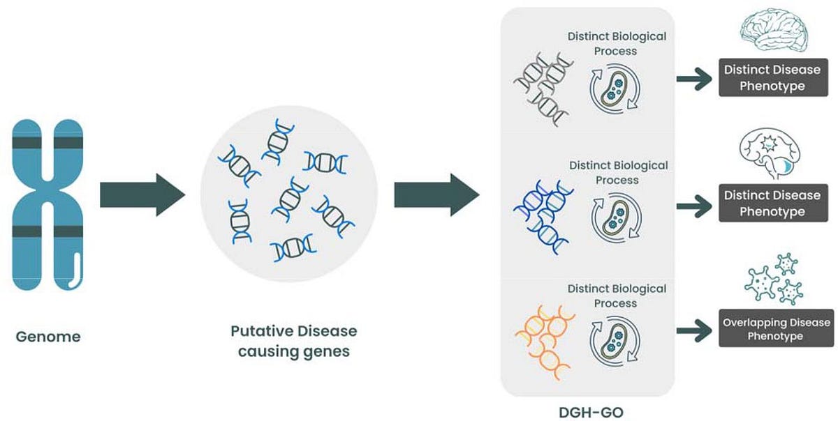 Dissecting the Genetic Heterogeneity of Complex Diseases using DGH-GO ...