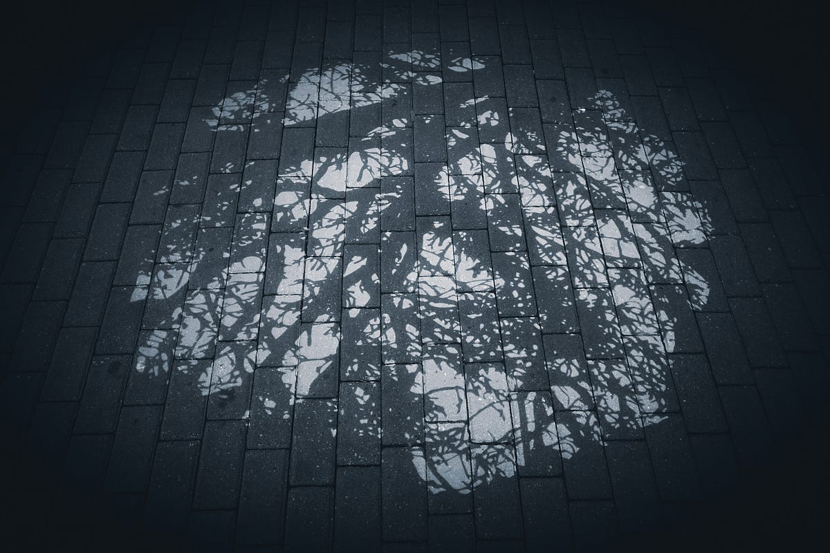 Comparing Methods for Projecting Fields from Classes in Dart | by ...