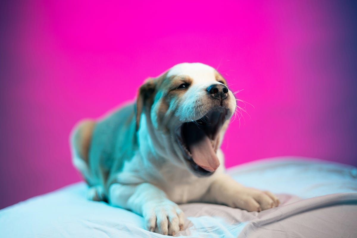 Why Is Consistency So Hard And Boring? How to Deal With It? | by Iwo Ef ...