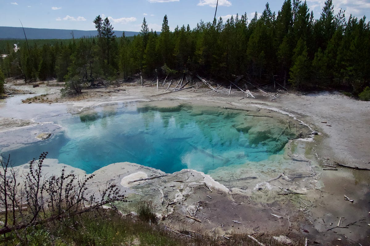 February 23, 1884 — The Soda Springs | by James Mathieson | Reporting ...