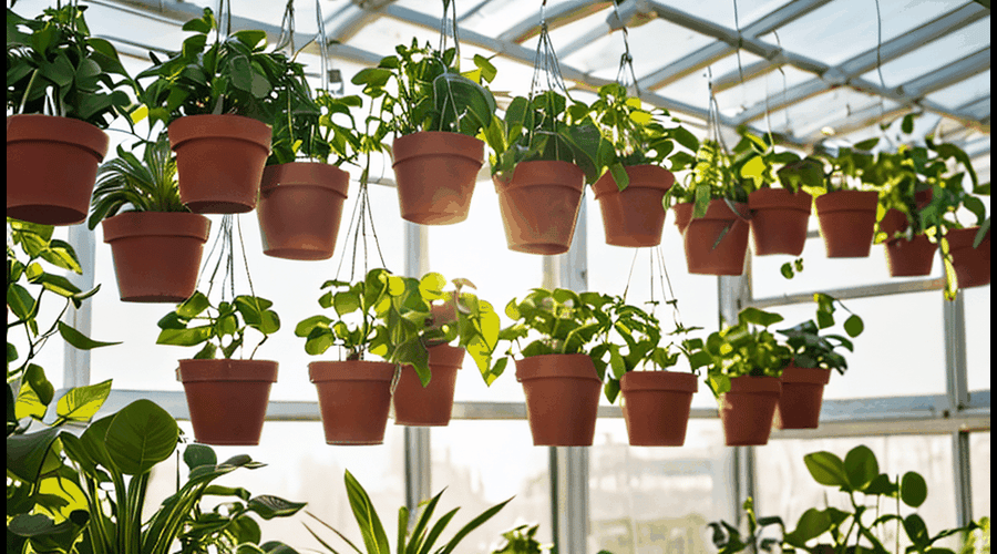 Ceiling Hooks For Plants | by Cassius Radcliffe | Medium