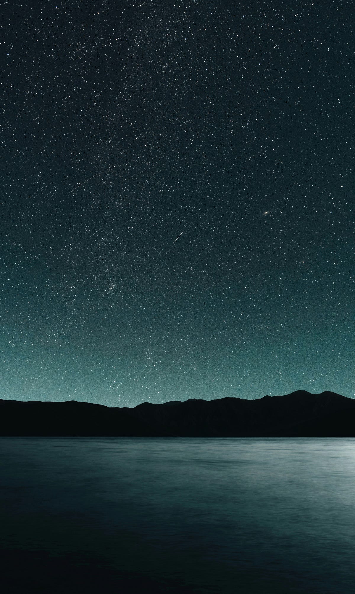 Black or White. Photo by thugbong on Unsplash | by Audrey Agu | Feb, 2024 | Medium