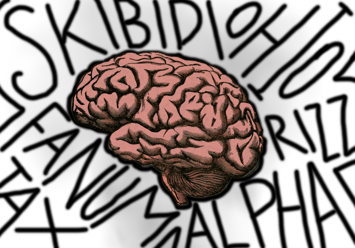 Is Brain Rot Real?. by: Dhaniela Pineda | by Dhaniela Pineda | Medium