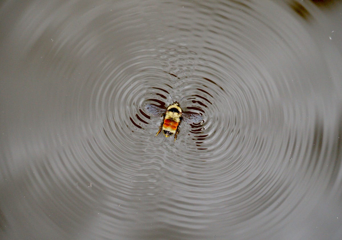 5 Things I learned to Release to Vibrate Higher | by Chris Mattice ...