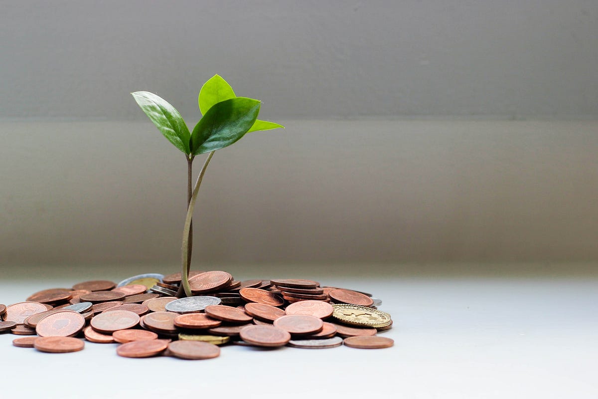 What You Need to Know About Growth Investing | by BioCompounding | Medium