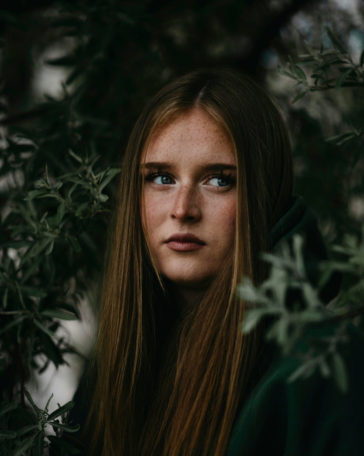 UNDERPLAYING YOUR HAND IS THE SHARPEST GAMBIT | by Cenomon | Medium