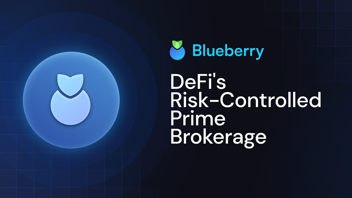 Blueberry: DeFi’s Risk-Controlled Prime Brokerage | by Blueberry ...