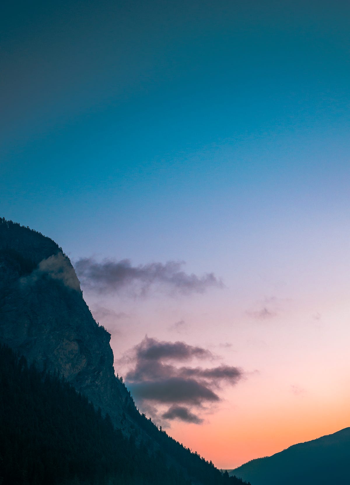 Polynomial Regression — Gradient Descent from Scratch | by Mark Garvey | Towards Data Science