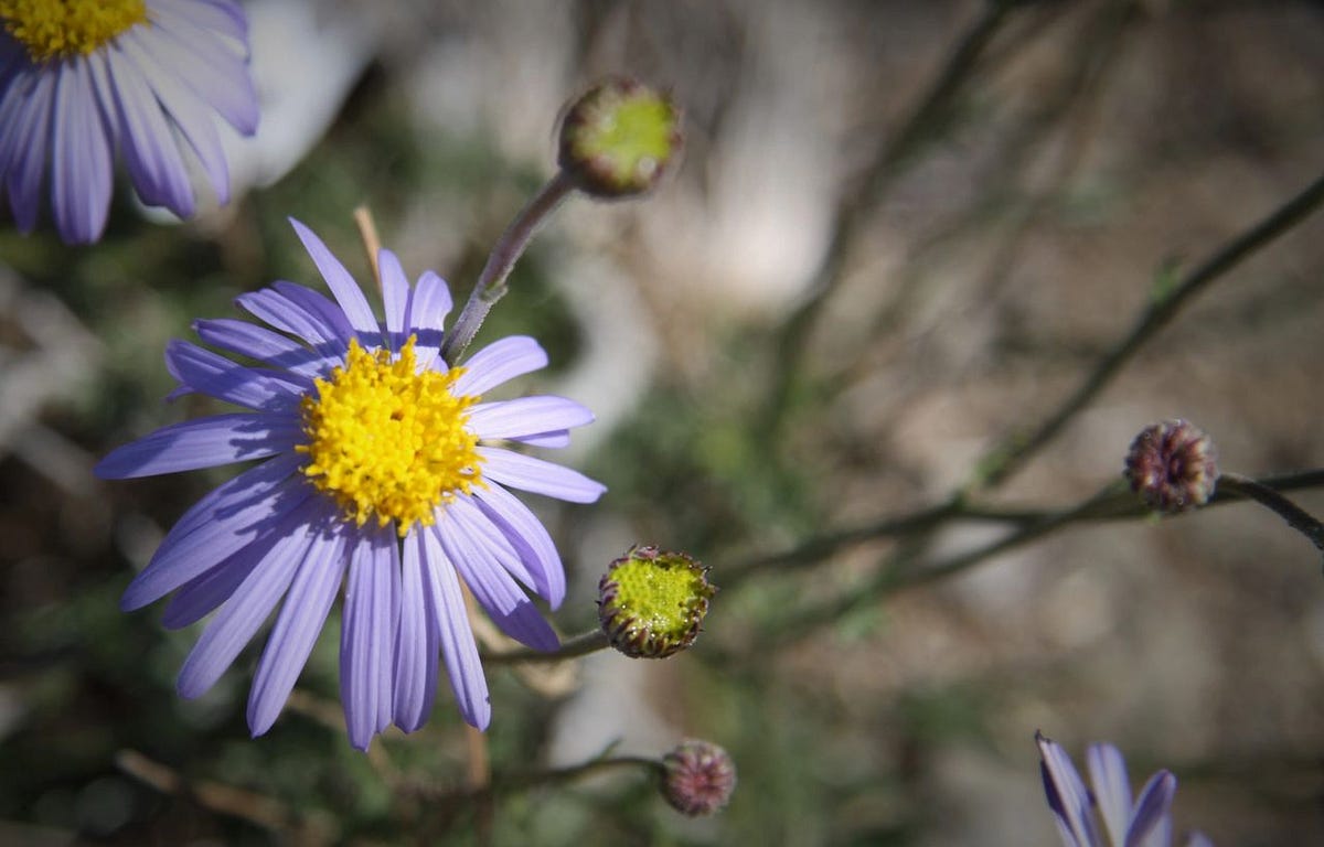 Finding Contentment. How are you feeling right now? Are you… | by Jay Henning | Medium