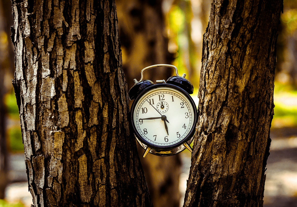 Why Saying You Don’t Have Time is Acting Stupid | by R C Hammond 😎 FHB ...