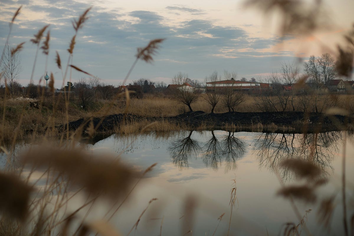 The only true wisdom is knowing that you know nothing. | by Andrii | Medium