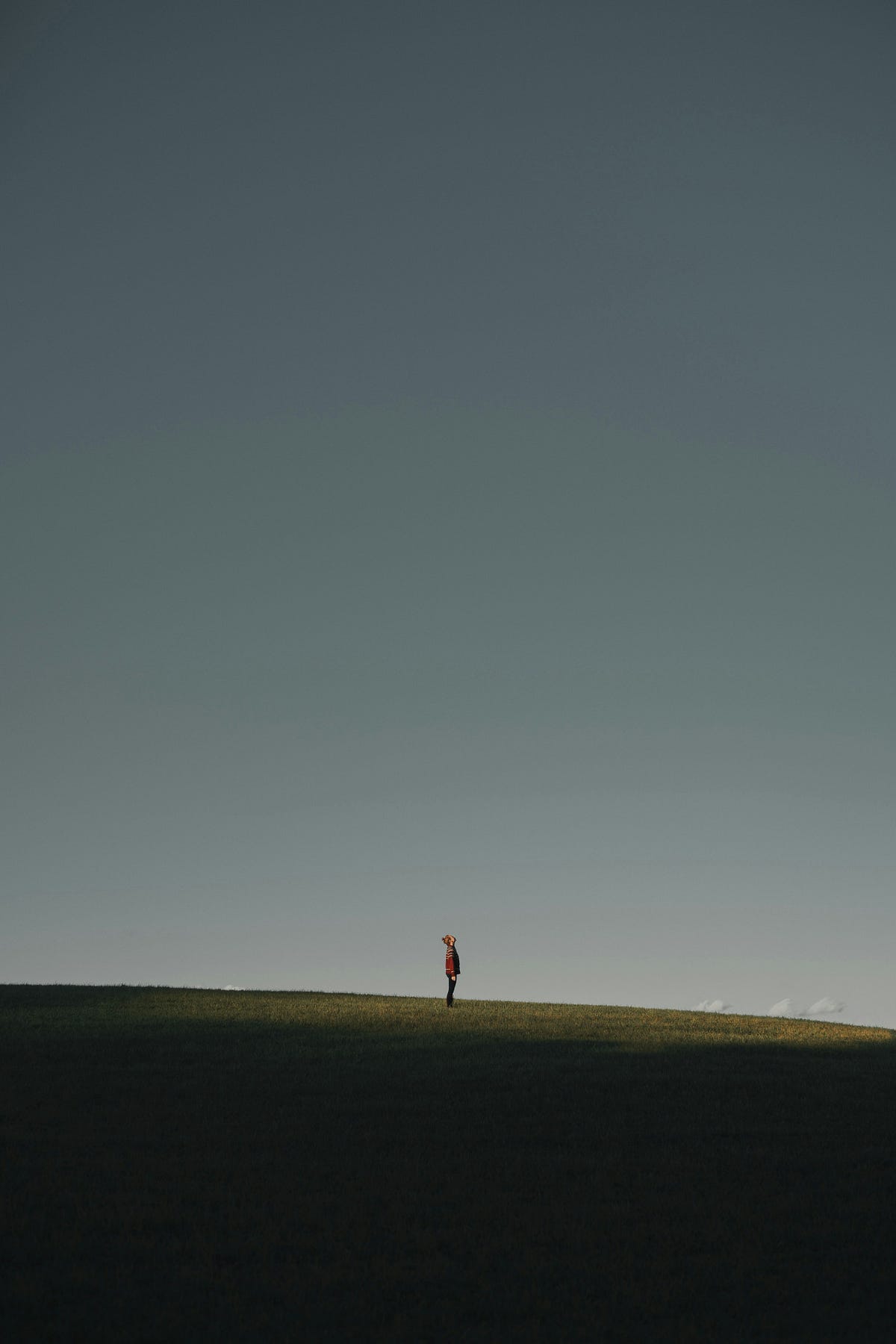 Exploring Life’s Big Questions: Navigating the Meaning of Human ...