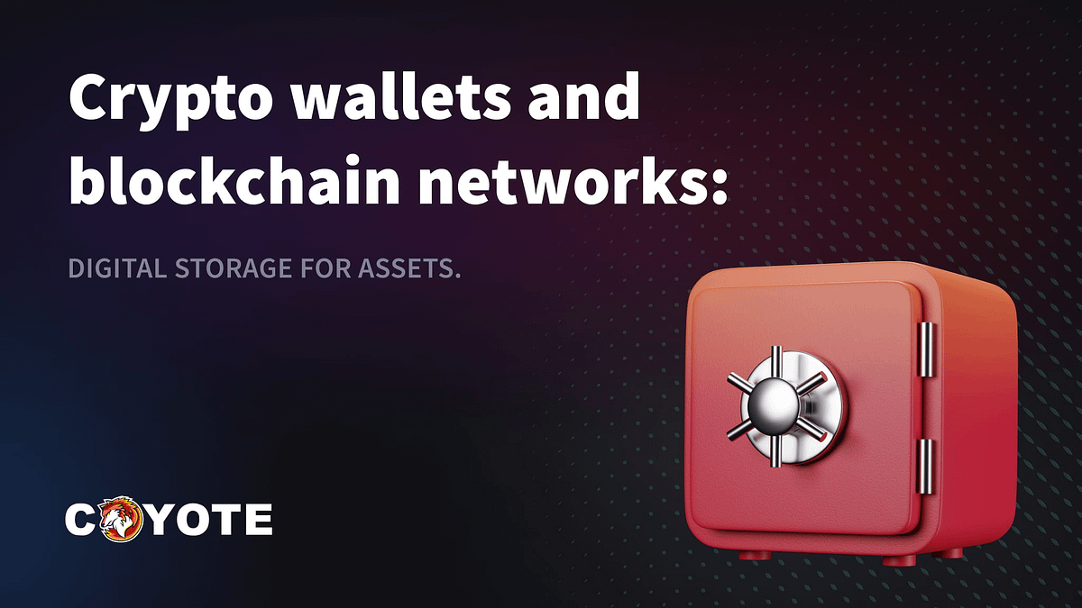 Crypto wallets and blockchain networks: digital storage for assets | by DexCoyote | Medium