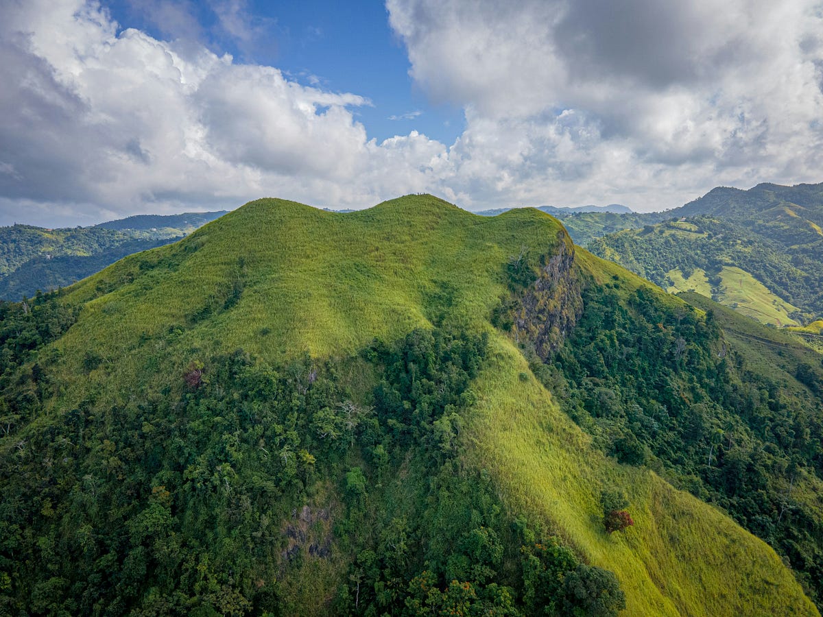 Proudly Hecho en Puerto Rico: Ama Earth Group’s Climate Tech for Puerto ...