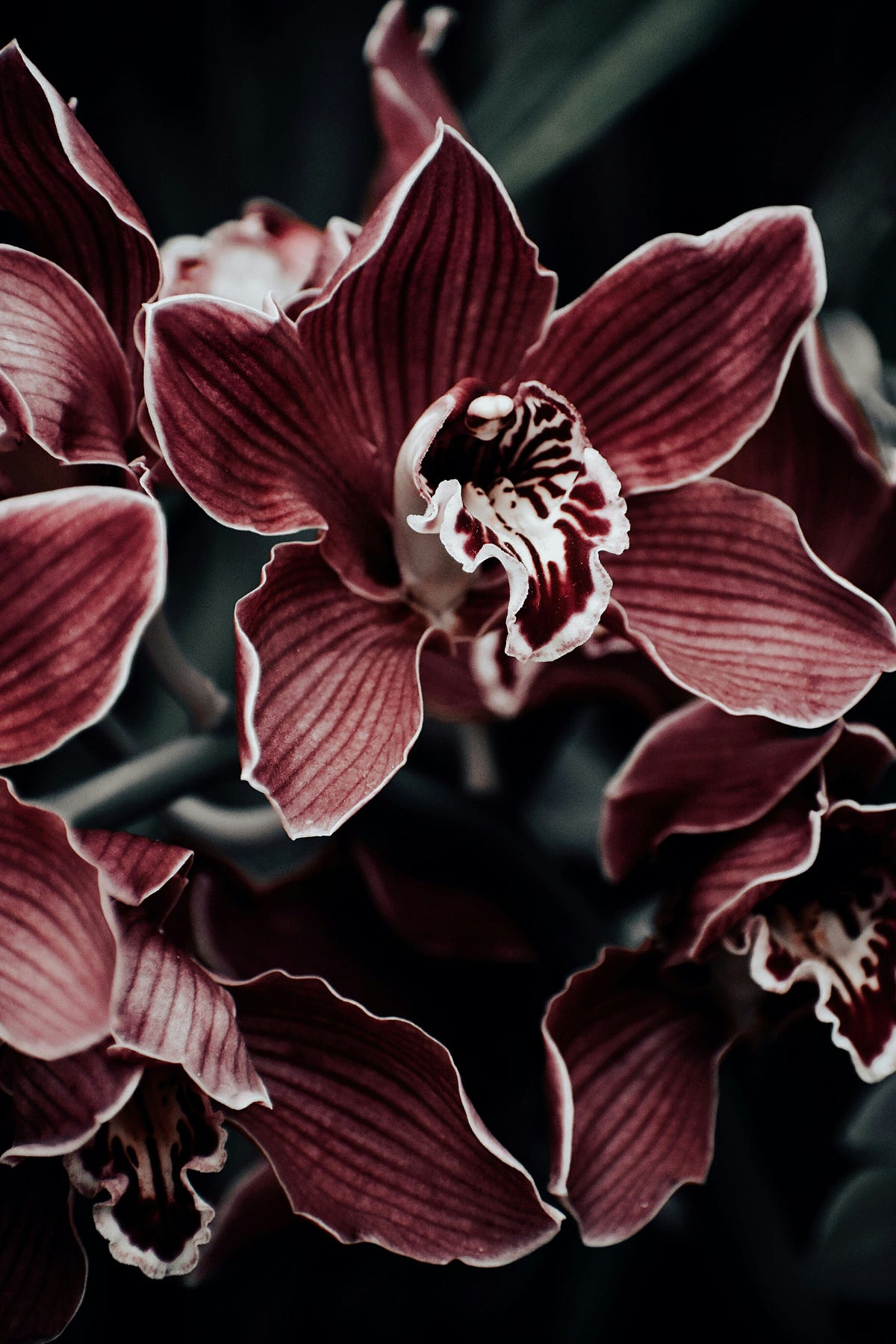 What I read in the last month: Flowers of Evil, Where I’m Calling From ...
