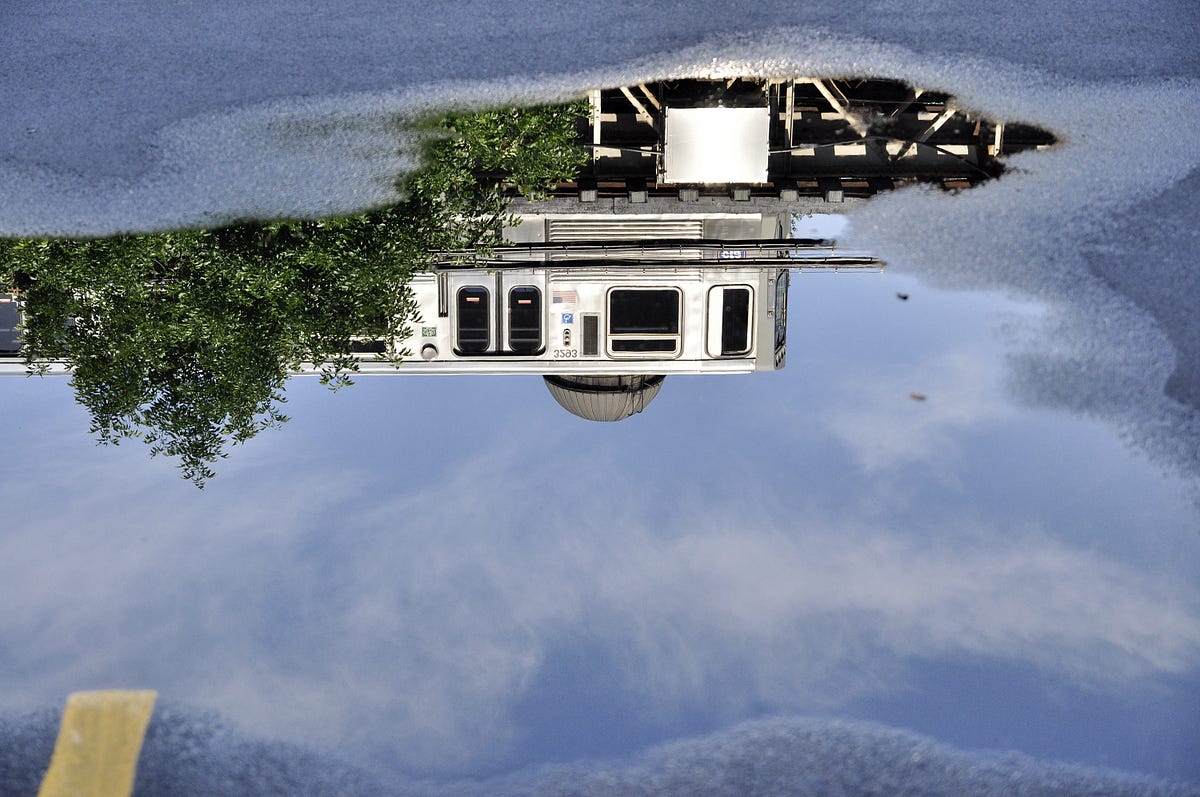 How To Reverse The Order Of An Array Using V For In Vuejs By John Au Yeung Javascript In