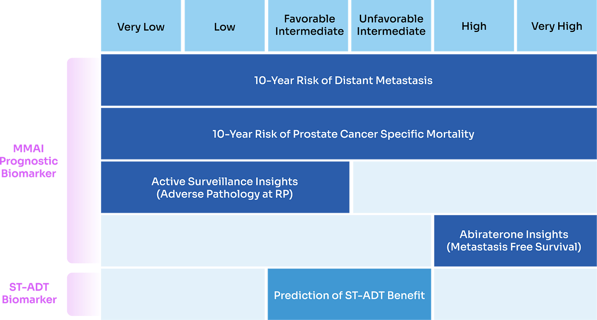 Across the Prostate Cancer Continuum: Translating ArteraAI’s Biopsy ...